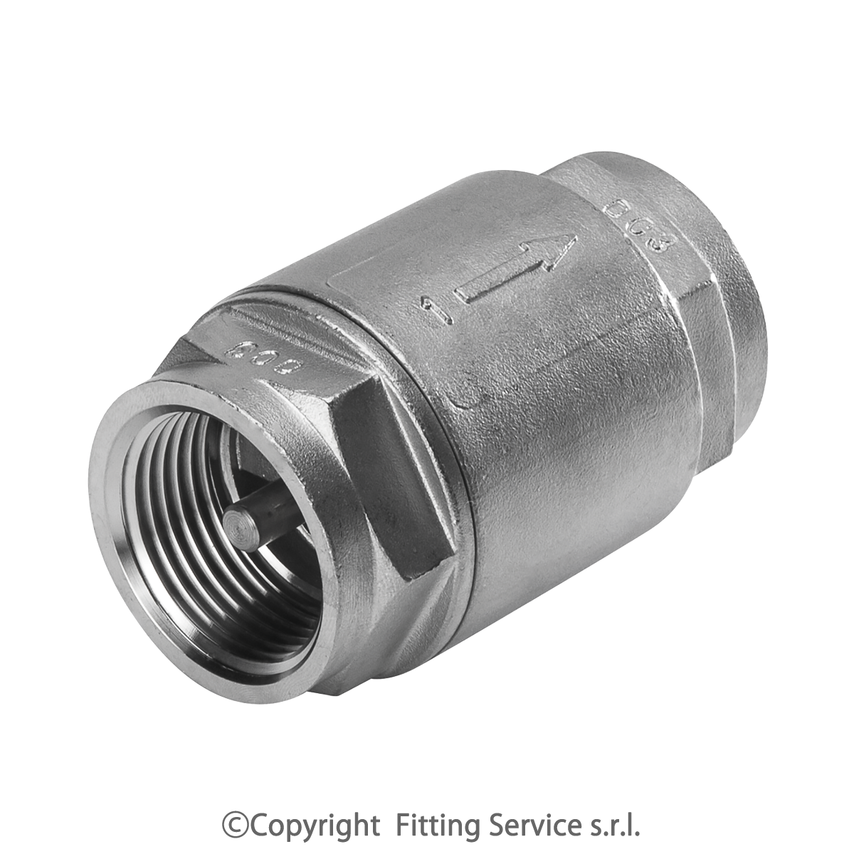 Threaded Check Valve Fitting Service threaded-check-valve-fitting-service