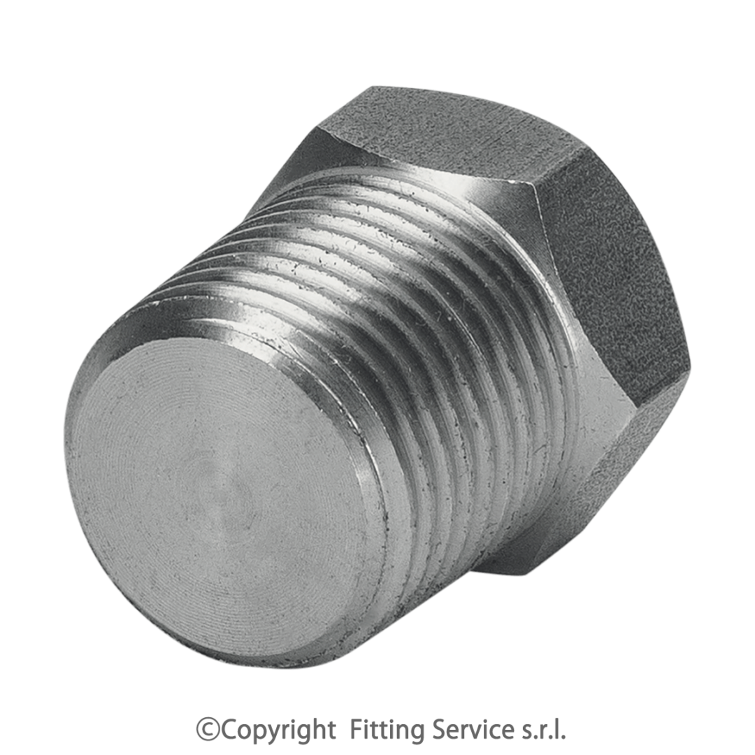 Hexagonal plug class 3000 NPT | Fitting Service