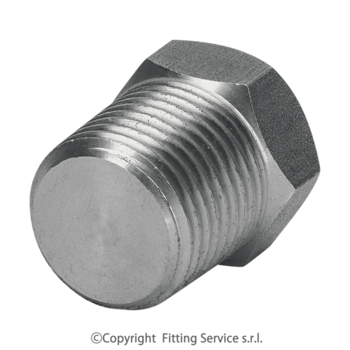 Hexagonal plug class 3000 NPT | Fitting Service